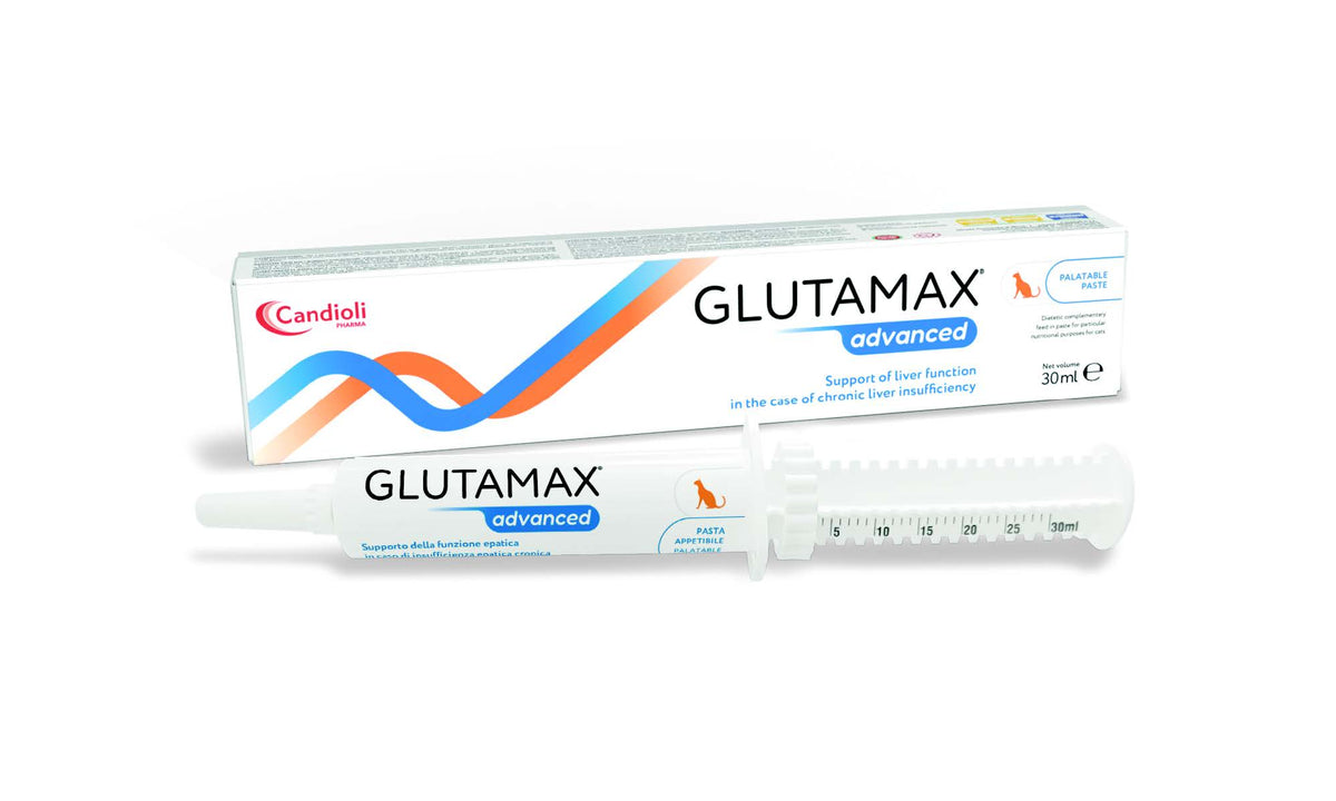 Glutamax Advanced Pasta 30 ml – Veteco Interservices