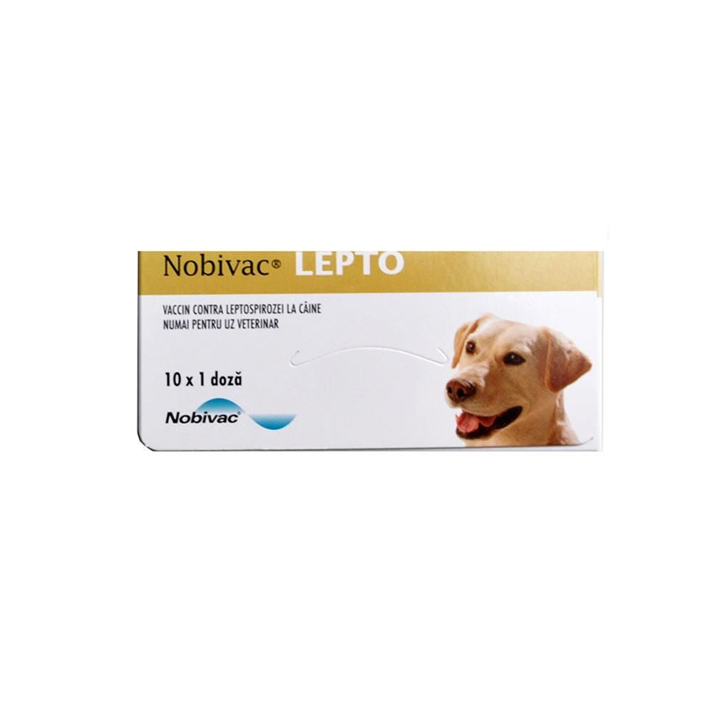 Nobivac Lepto 1 Dz – Veteco Interservices
